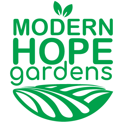 Plants | Modern Hope Gardens